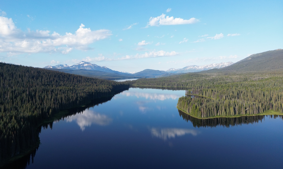 Island Camp – Canoe Trek with Kids Day 3 and 4 - TrailFare
